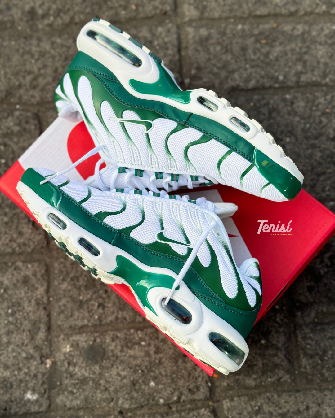 Nike Air Max TN x Lacoste – TENISÍ